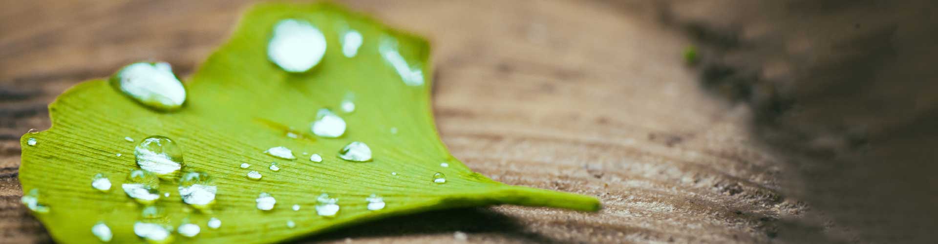 Startseite - Christine Landa