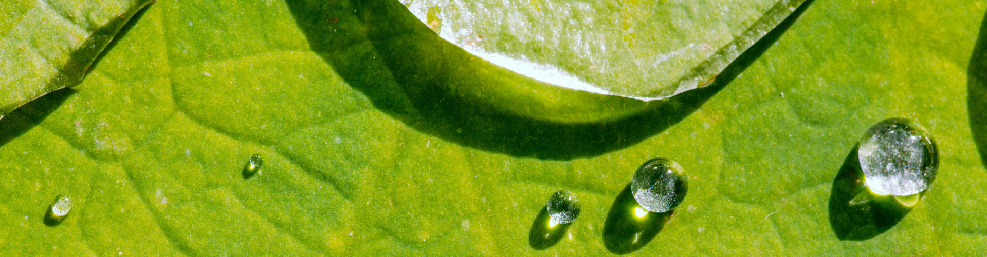 Kosten & weitere Infos - Christine Landa