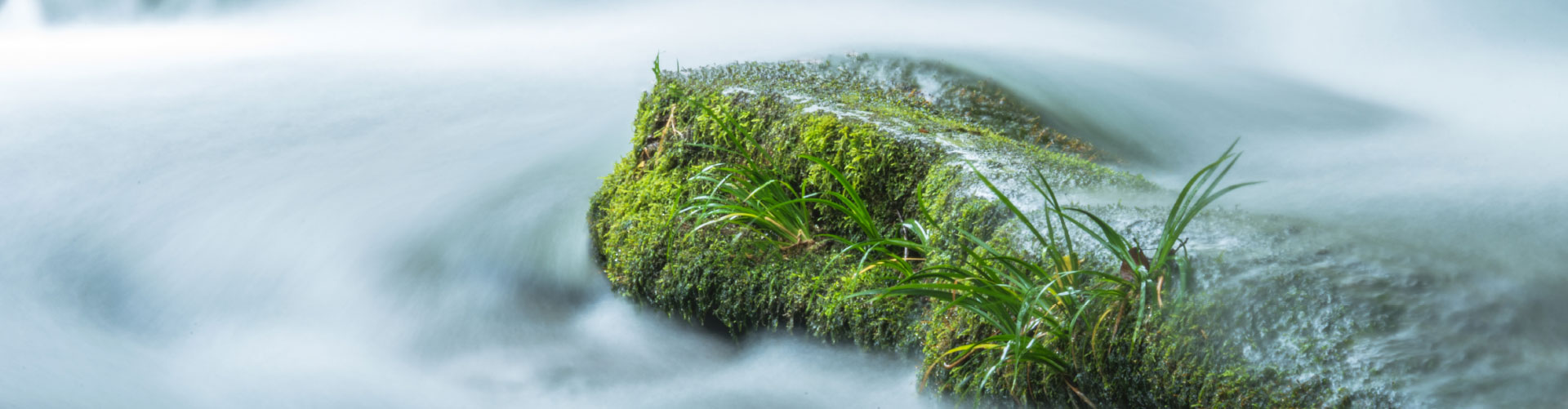 Kosten & weitere Infos - Christine Landa